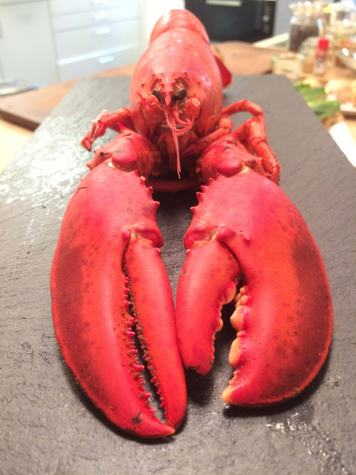 Beispielrezept | Boque auf Croque